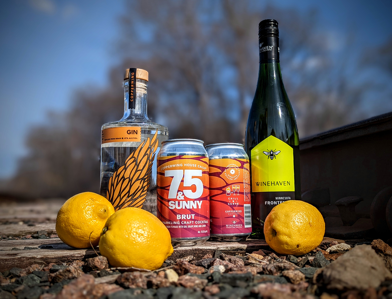 Ready to Disrupt: The Skyrocketing Popularity of RTD Cocktails – Craft ...