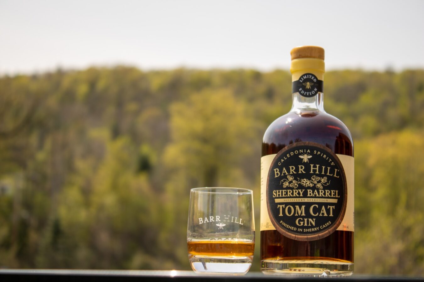 Barr Hill Unveils Sherry Barrel Tom Cat Gin – Craft Spirits Magazine