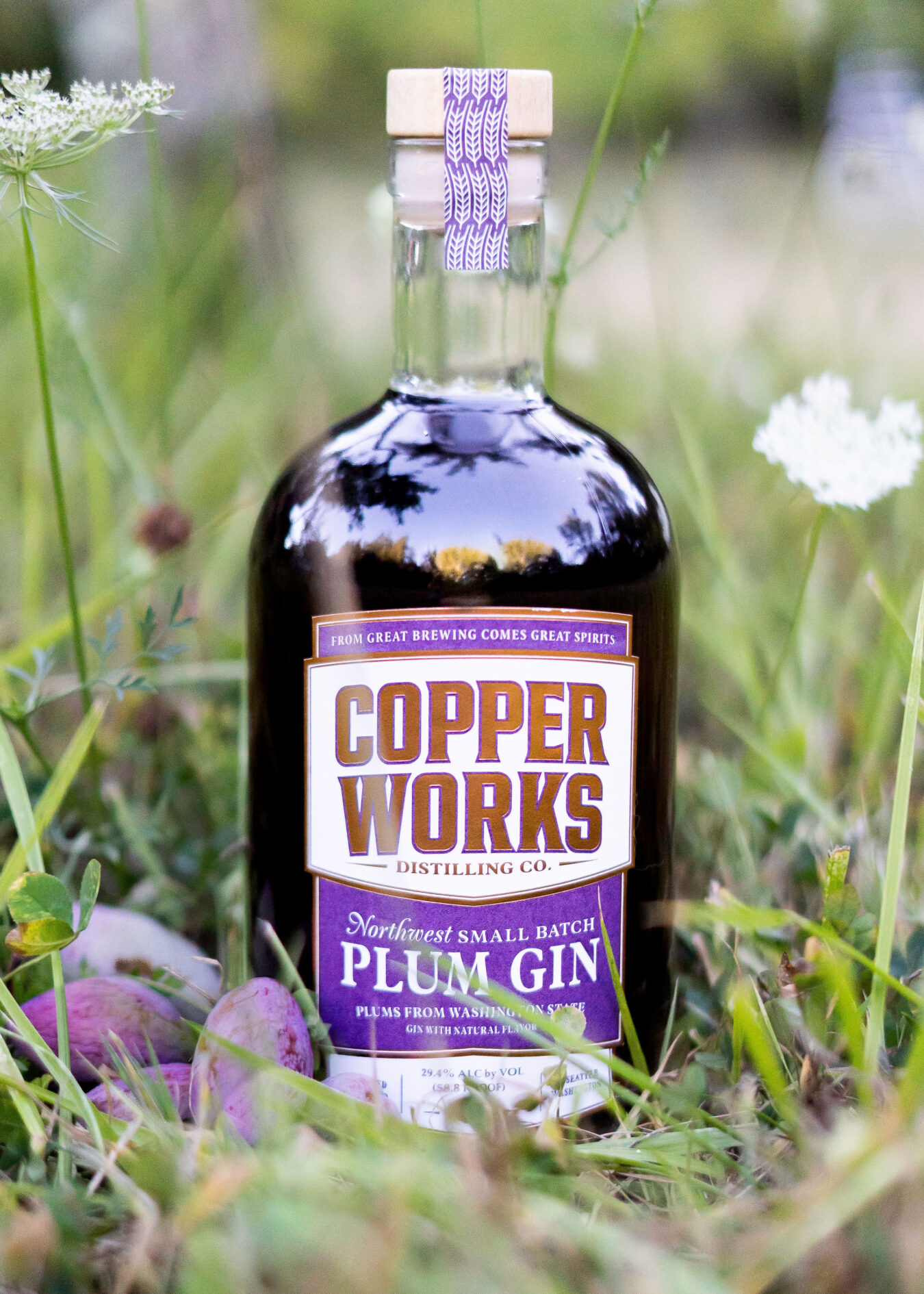 Copperworks Releases Plum Gin from 2023 Harvest – Craft Spirits Magazine